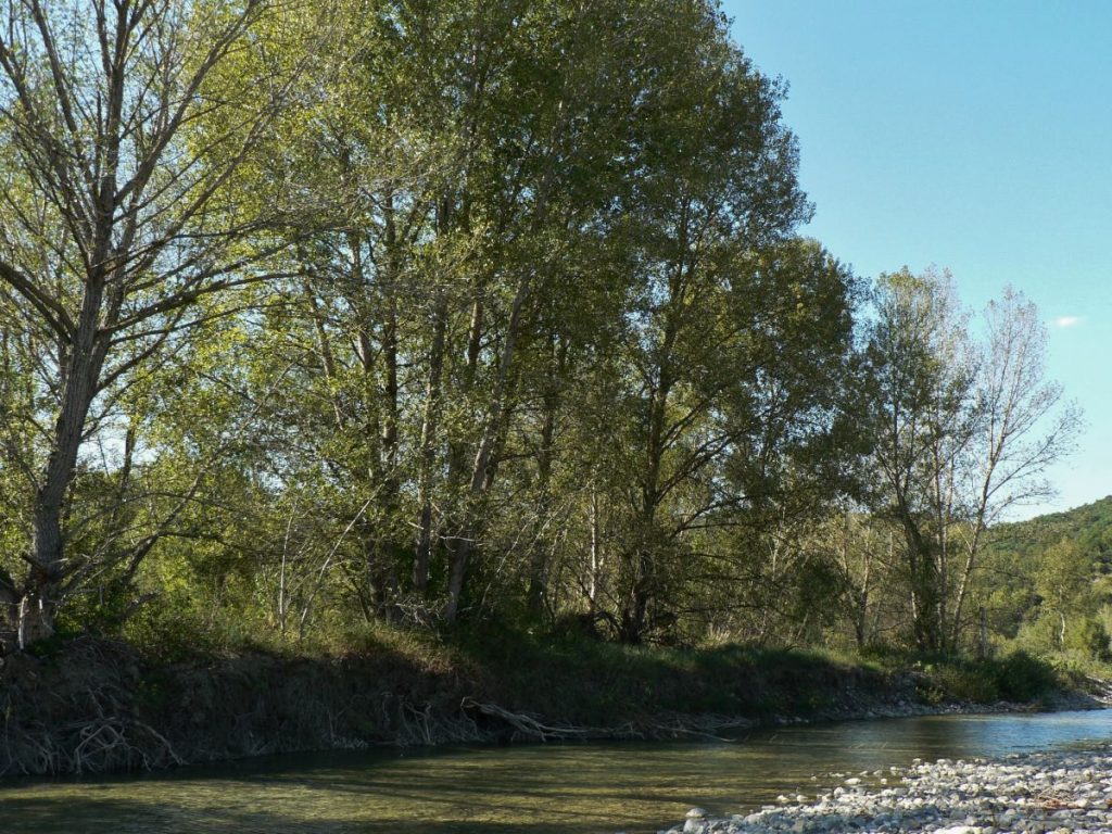 River Cecina at Lebbino | Val di Cecina outdoor