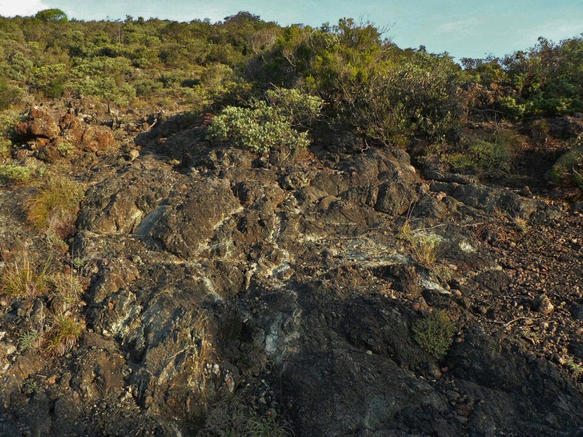Le rocce verdi di Caselli | Val di Cecina outdoor