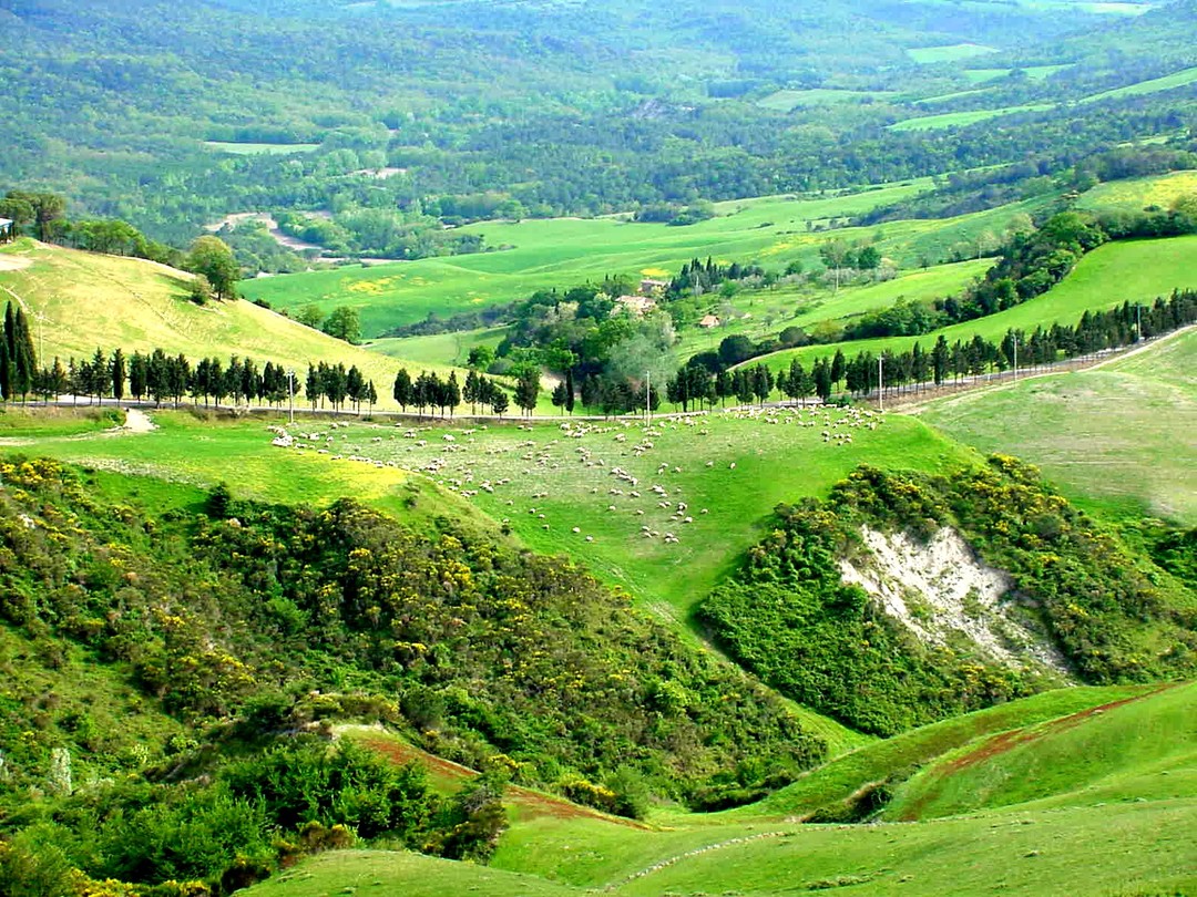 Village of Mazzolla | Val di Cecina outdoor
