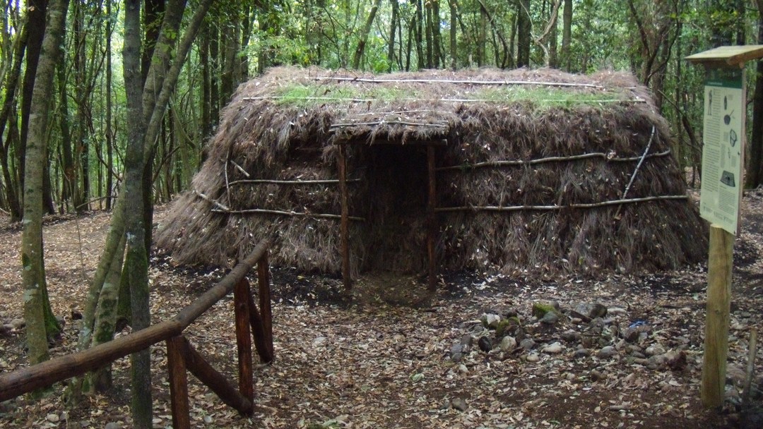 Il percorso didattico della Venella | Val di Cecina outdoor